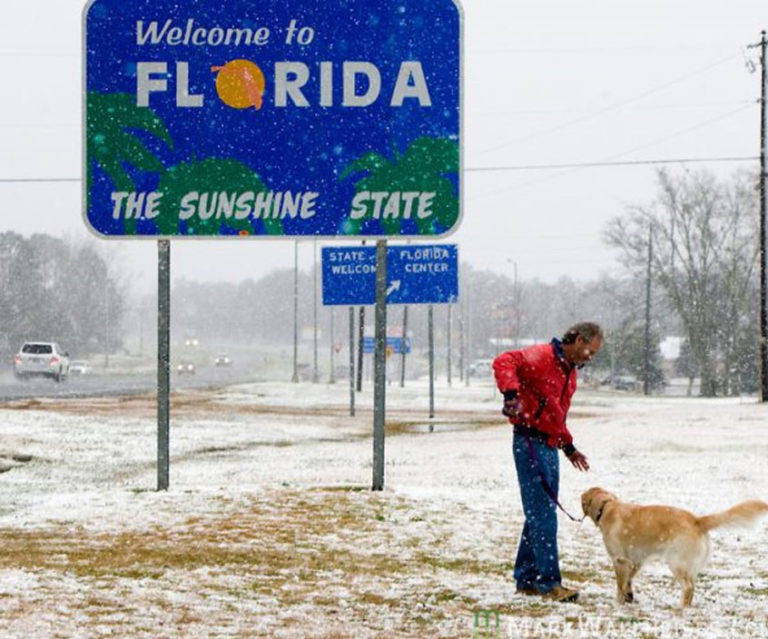 Only in Florida! Funny Photos From Florida